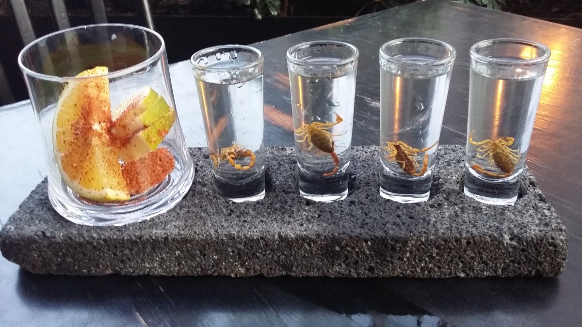 This mezcal is served with a side of scorpion | The Tequila Files